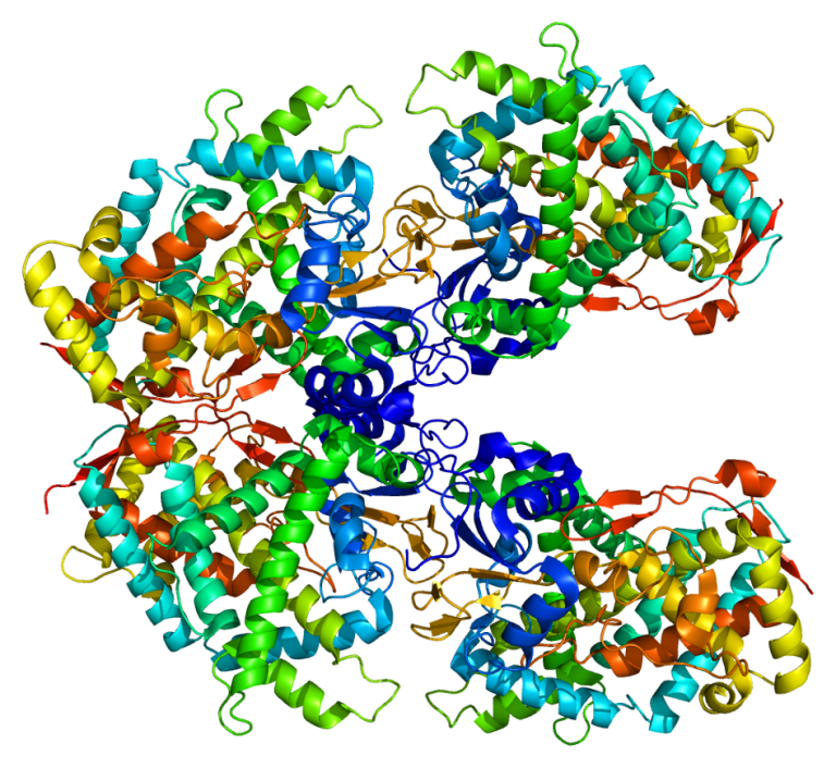 CYP2A6阻害薬は喫煙量の減少に役立つ | 薬理学などなどなど。